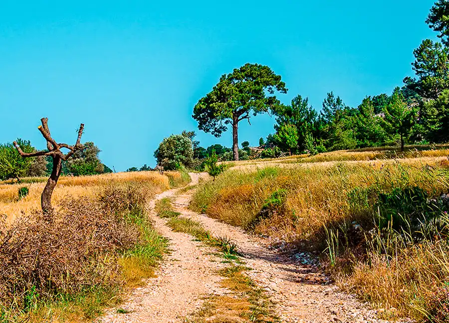 Discover Beycik Village | Villa Plus Turkey